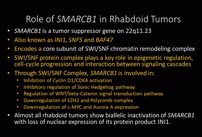 Role of SMARCB1/INI1 in Malignant Rhabdoid Tumors