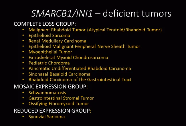SMARCB1 deficient tumors