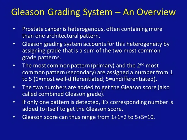 Gleason Grading System : Overview