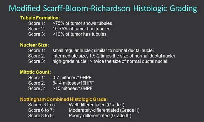 Scarff-Bloom-Richardson Histologic Grading