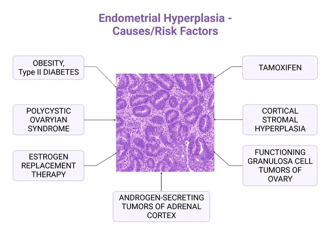 endometrium slide labeled
