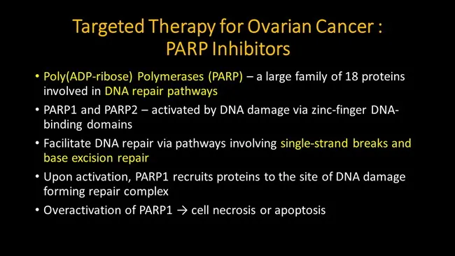 Ovarian Cancer Treatment : PARP Inhibitors