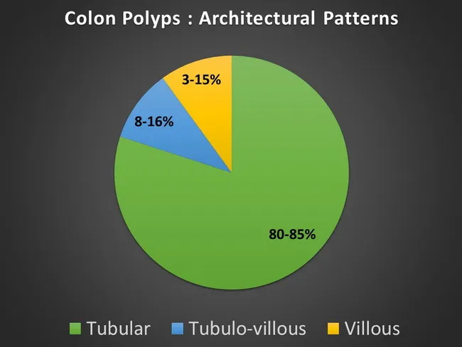 Colon Polyps : Architectural Patterns